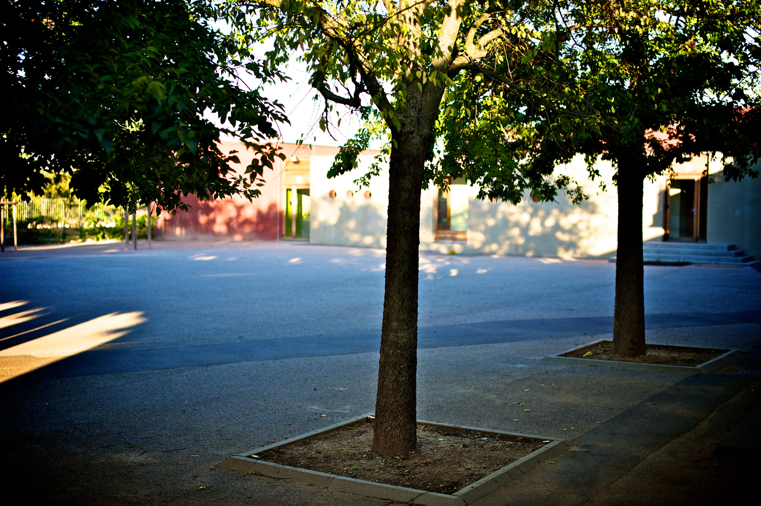 Une école plus verte et plus vertueuse - Mairie de Solaize