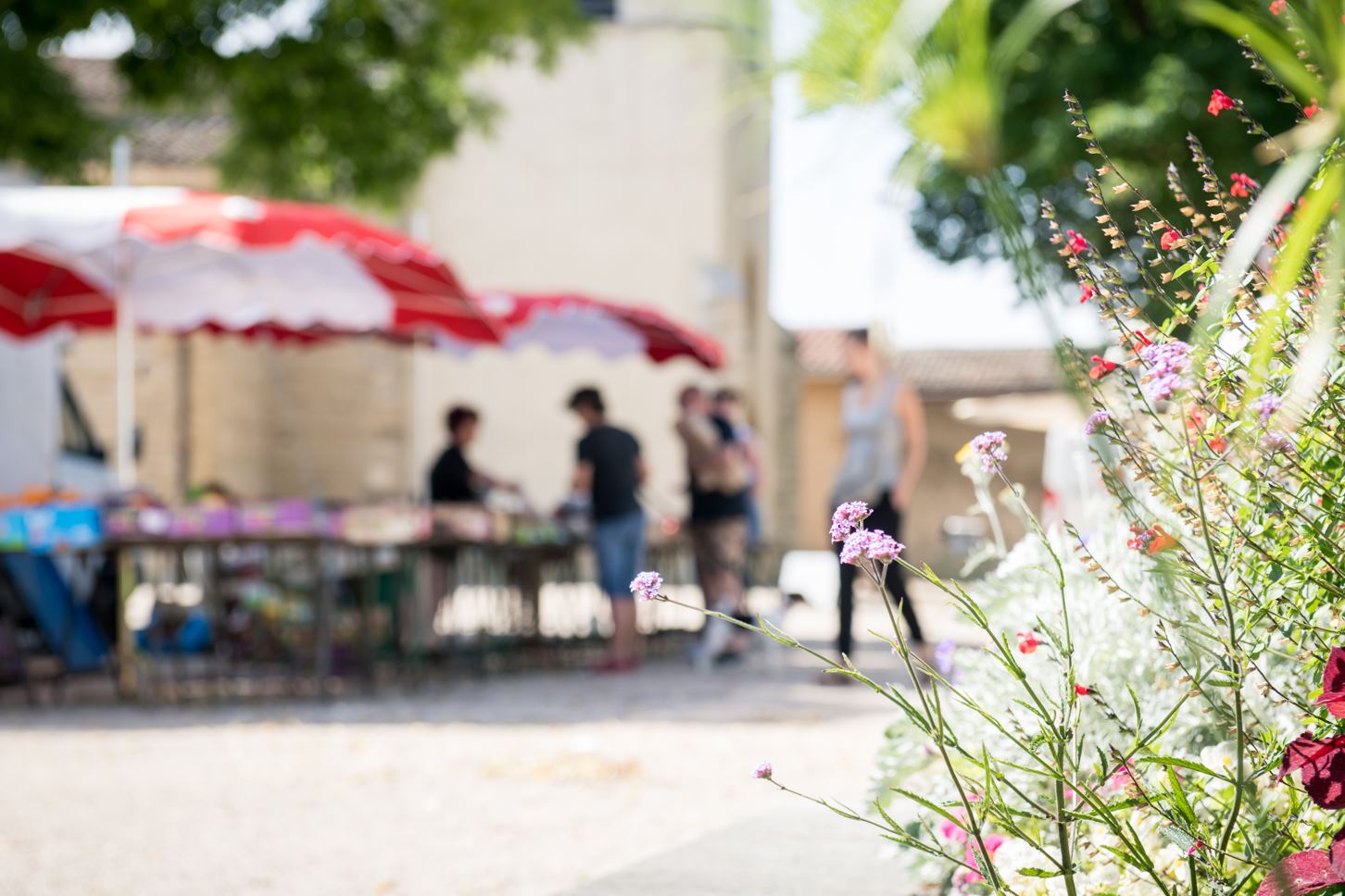 Matinée Beaujolais - Mairie de Solaize